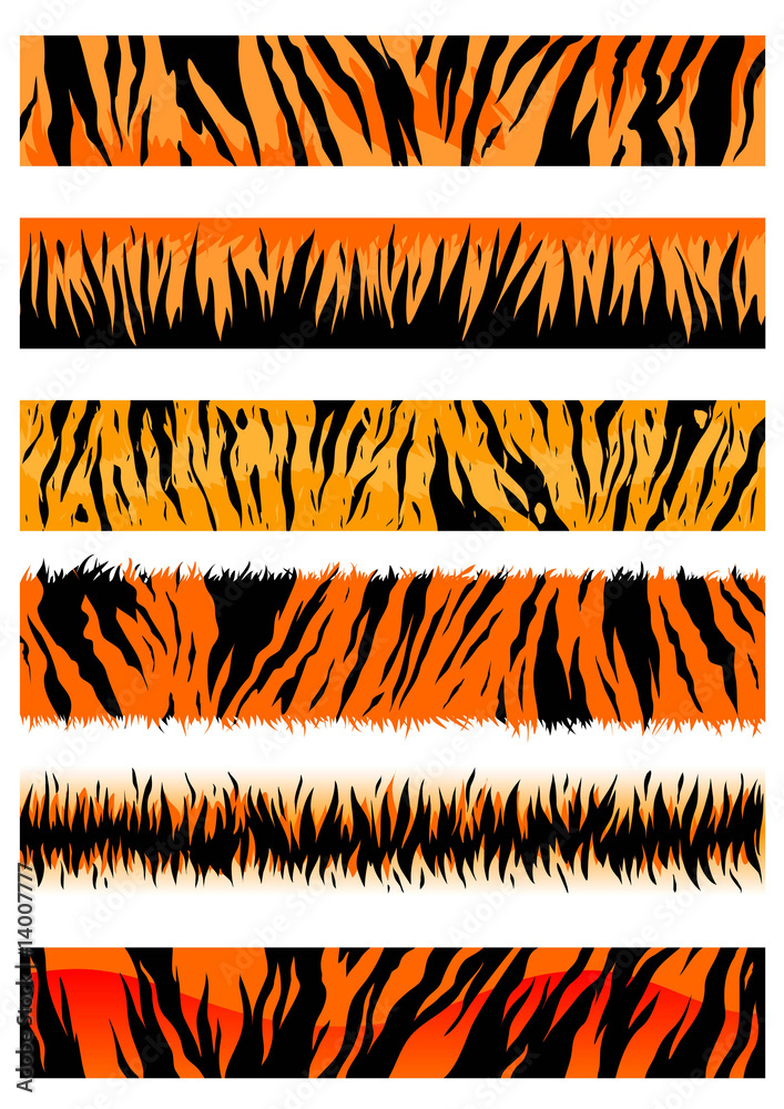 Tiger skin patterns Stock Vector | Adobe Stock