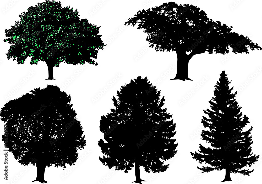 trees - vector set Stock Vector | Adobe Stock