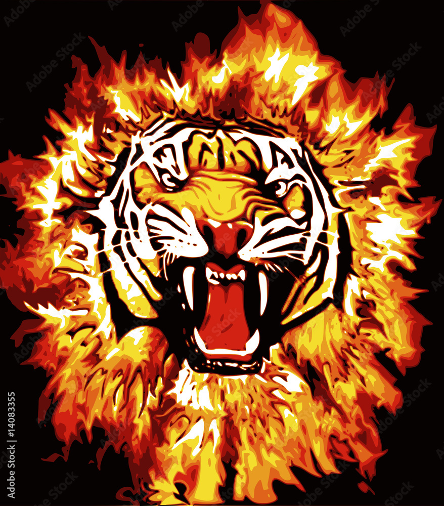 tigre Stock Vector | Adobe Stock