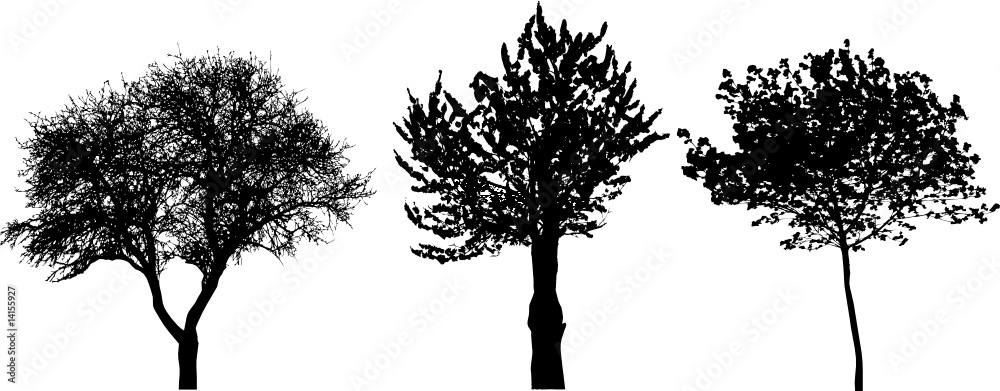 trees - vector set Stock Vector | Adobe Stock