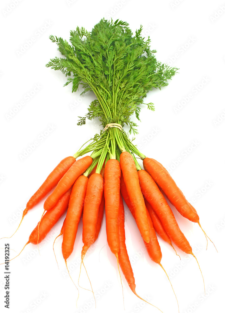 Karotten Stock-Foto | Adobe Stock