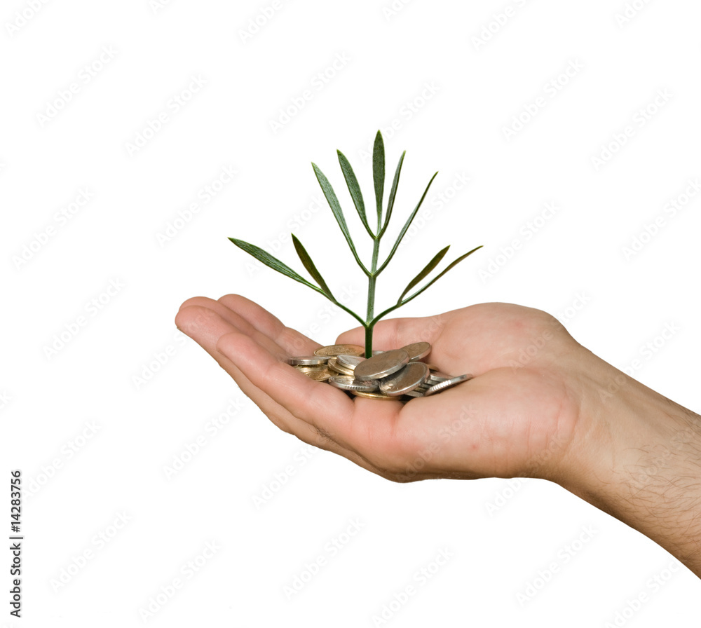 Palm with a plant growng from pile of coins Stock Photo | Adobe Stock
