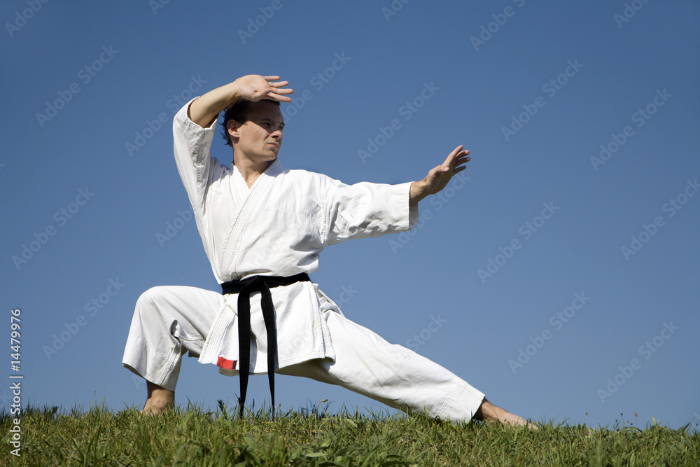 world champion of Karate - kata - training Stock Photo | Adobe Stock