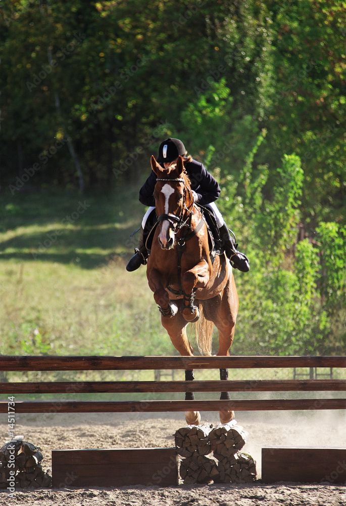 show jumping competition Stock Photo | Adobe Stock