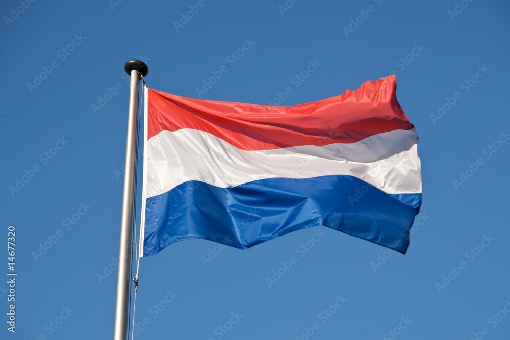 Dutch flag Stock Photo | Adobe Stock
