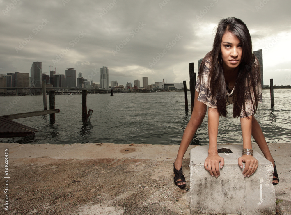 Beautiful woman in a provocative pose Stock Photo | Adobe Stock