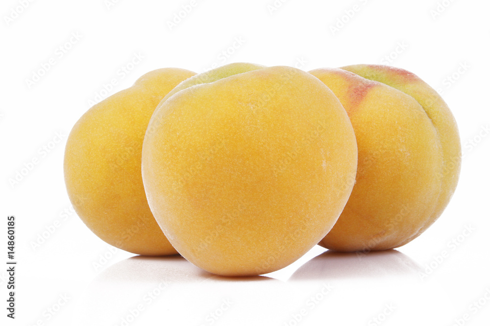 Foto Stock percoca | Adobe Stock