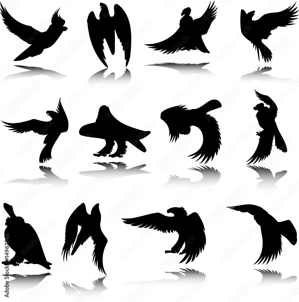 predatory birds vector silhouettes Stock Vector | Adobe Stock