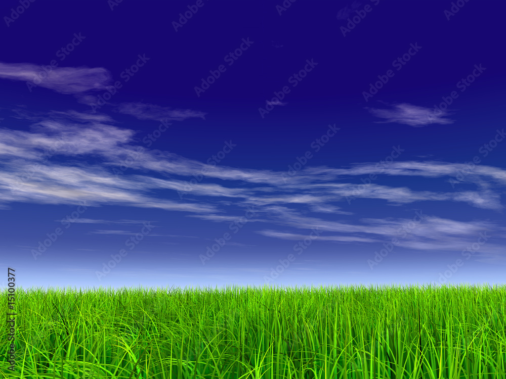High resolution grass and sky background wall mural wallpaper ...