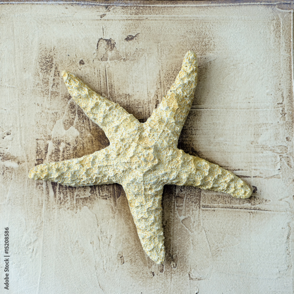 3D Kunst Seestern Stock-Foto | Adobe Stock