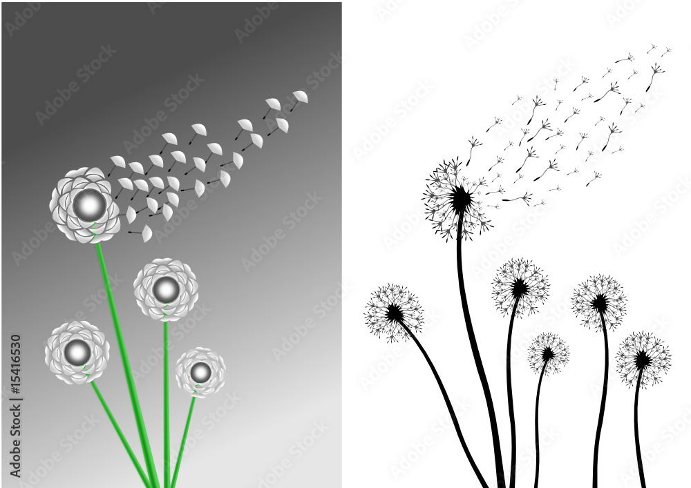 Pusteblume & Löwenzahn als Vektor Stock-Vektorgrafik | Adobe Stock