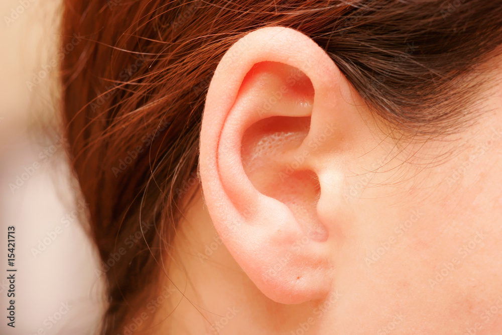 ear Stock Photo | Adobe Stock