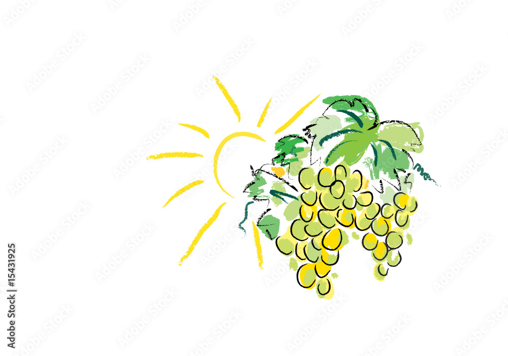 Weintrauben mit Sonne Stock Vector | Adobe Stock