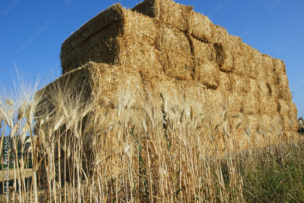 Botte de foin Photos | Adobe Stock