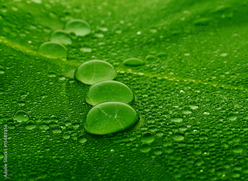 Waterdrops Stock Photo | Adobe Stock
