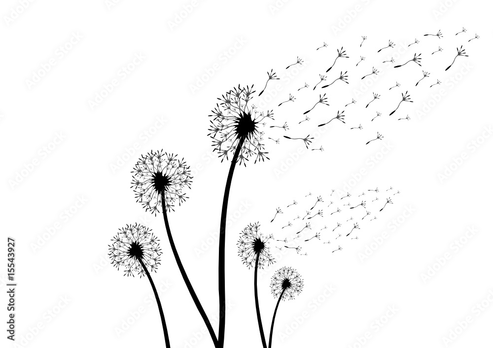 Silhouette einer Pusteblume Stock Vector | Adobe Stock