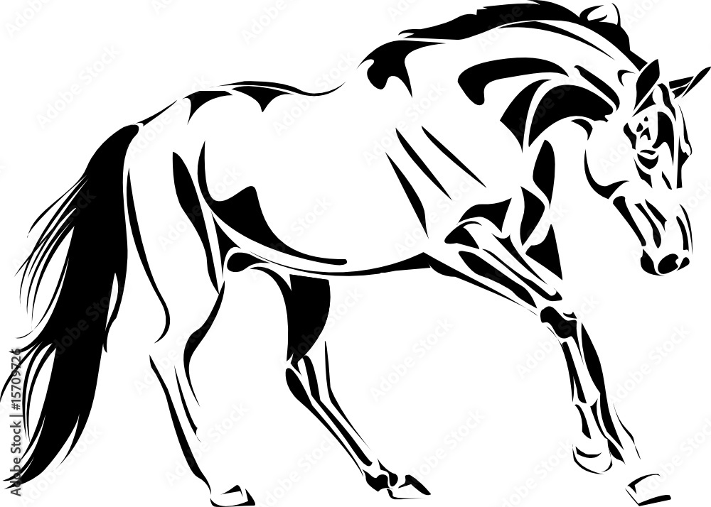 sketch vector stallion Stock Vector | Adobe Stock