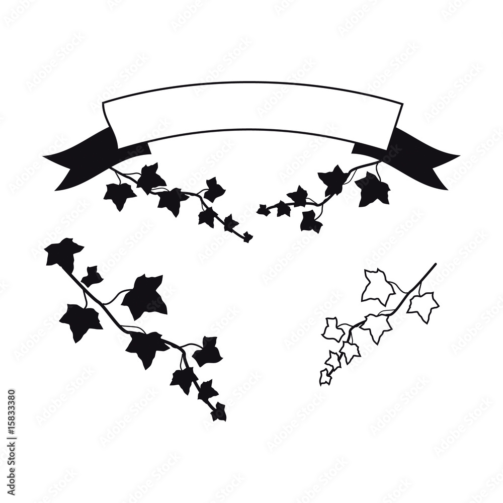 Efeu Blätter und Band Stock Vector | Adobe Stock