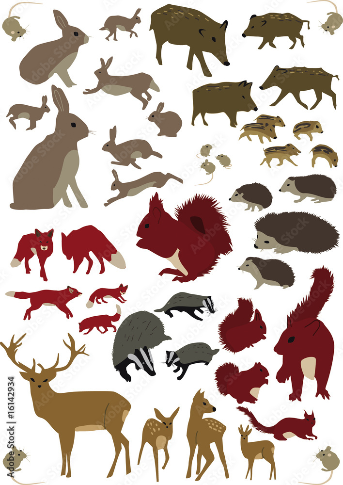Tiere des Waldes vol.01 Color Stock-Vektorgrafik | Adobe Stock