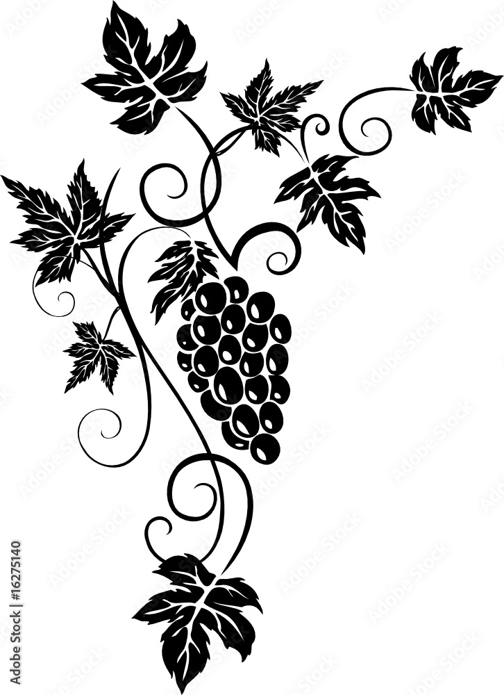 Wein, Weinrebe, Ranke, Weinblätter, Weintrauben Stock Vector | Adobe Stock