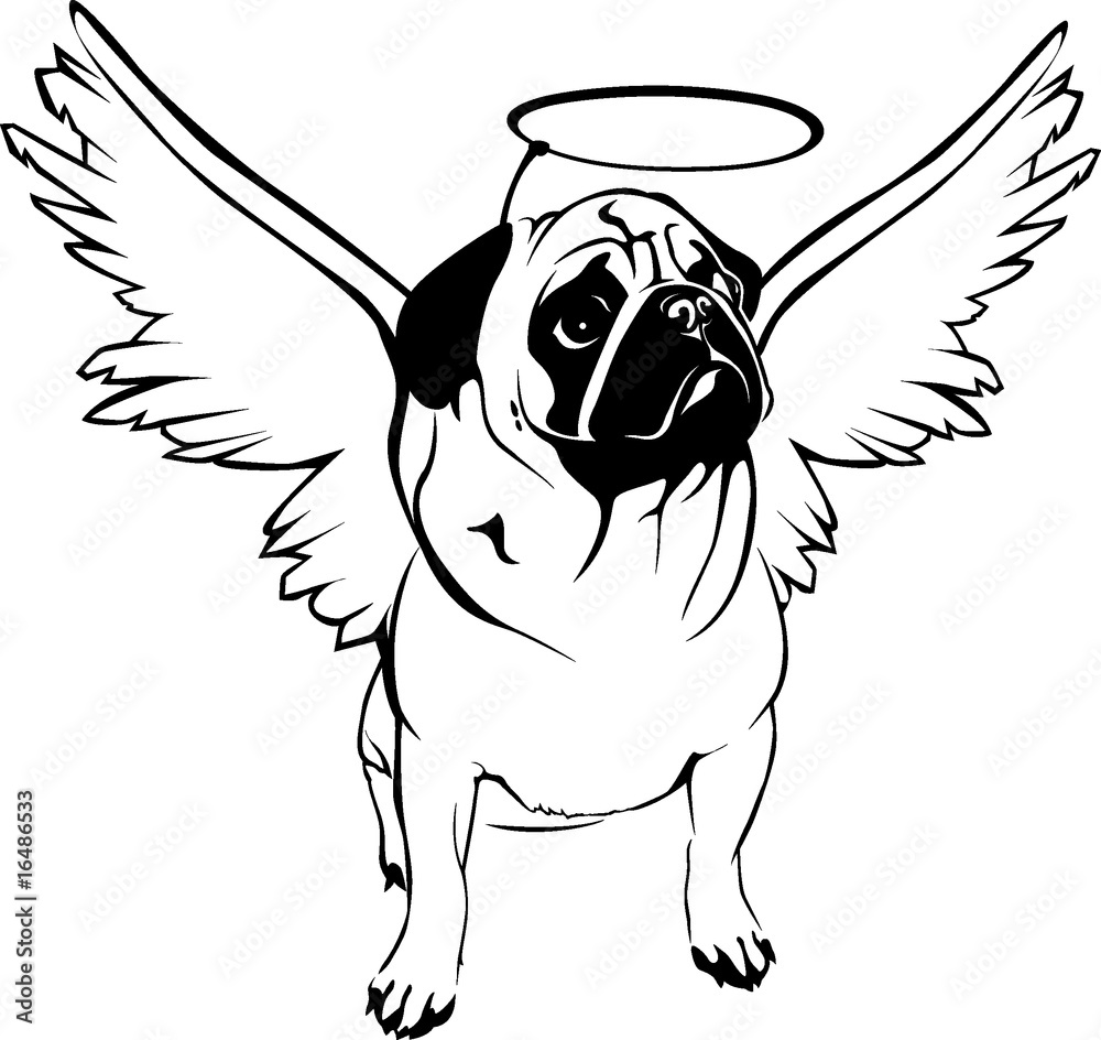 Angel-Pug Stock-Vektorgrafik | Adobe Stock