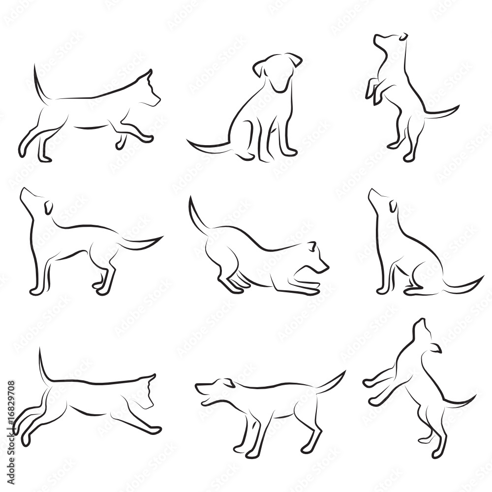 dog drawing set Stock Vector | Adobe Stock