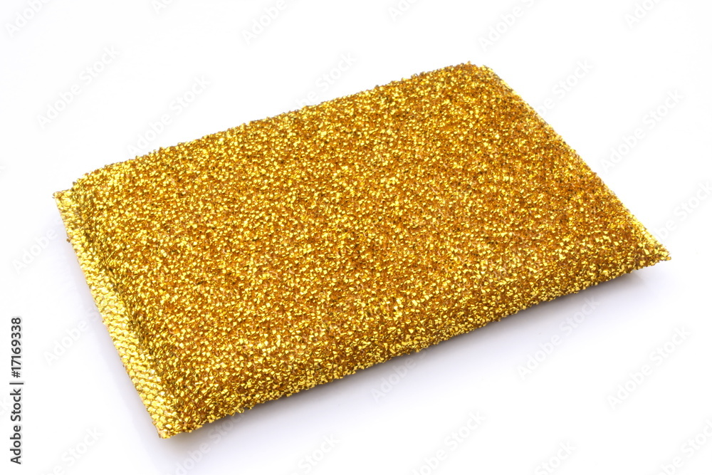 Sponge Stock Photo | Adobe Stock