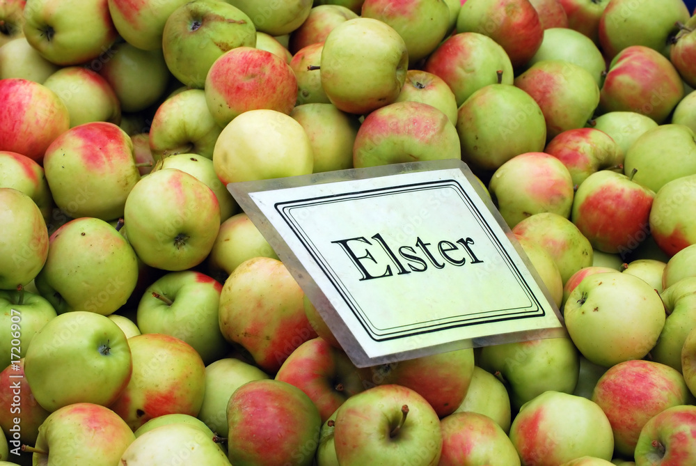 Elster Äpfel Stock Photo | Adobe Stock