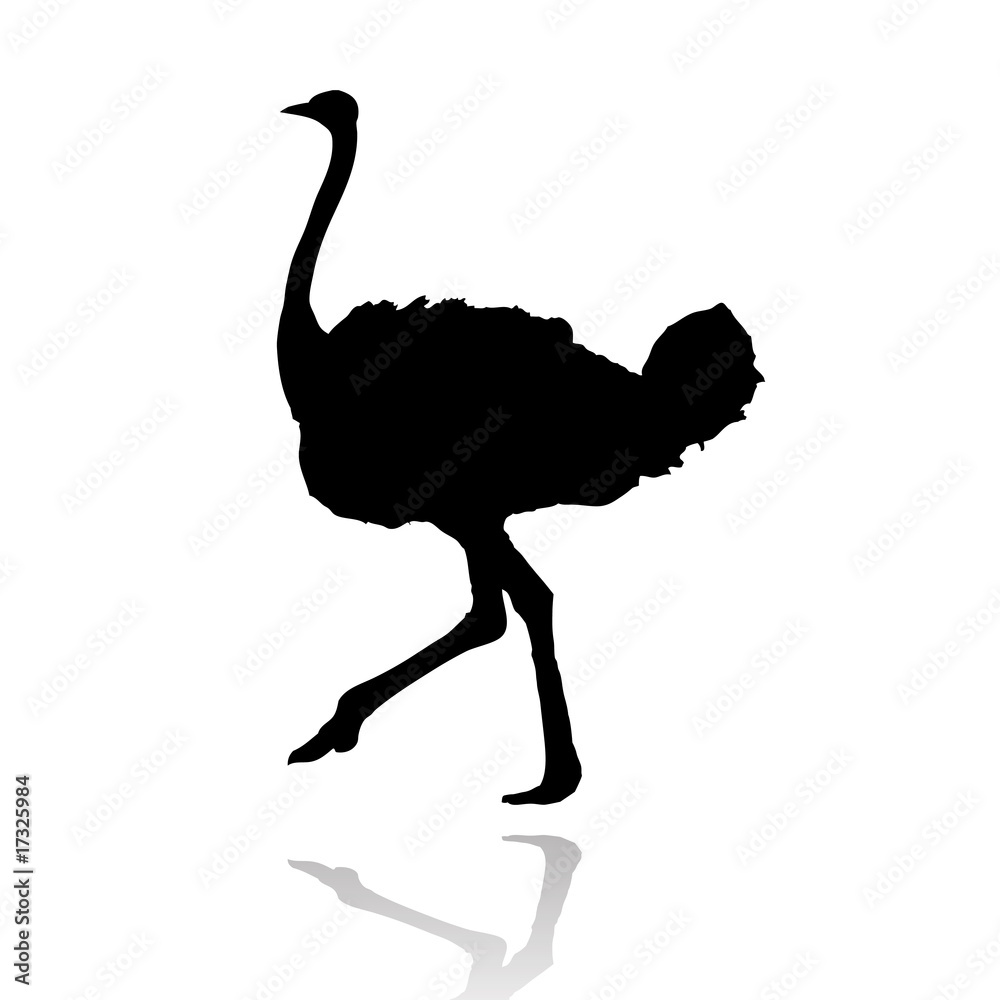 Ostrich Silhouette