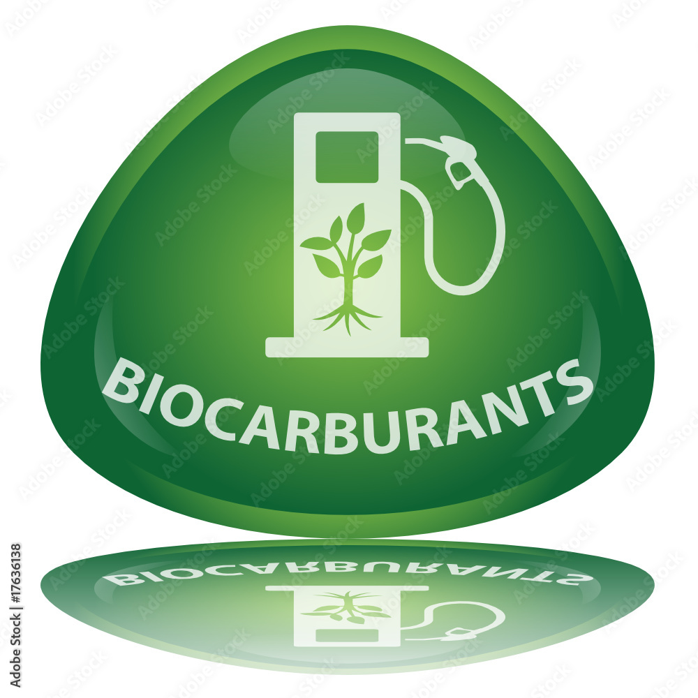 Bouton "Biocarburants" Stock Vector | Adobe Stock