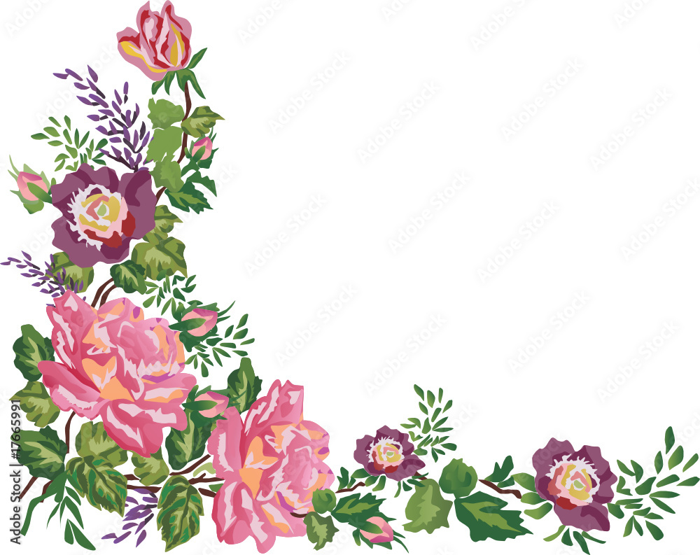 pink rose angle on white Stock Vector | Adobe Stock