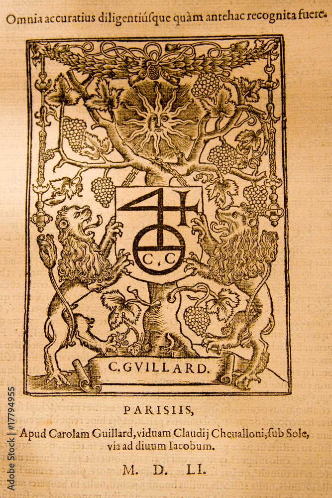 Medieval latin script Stock Photo | Adobe Stock