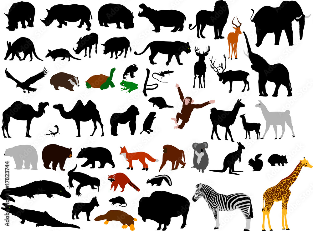 collection of wild animals vector silhouettes Stock Vector | Adobe Stock