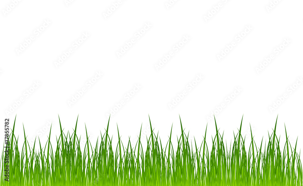 Vector Grass Template Stock Vector Adobe Stock