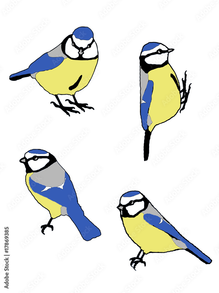 Blue tit vector Stock Vector | Adobe Stock
