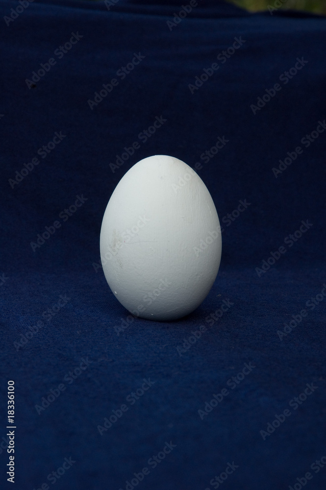 Ei Stock Photo | Adobe Stock