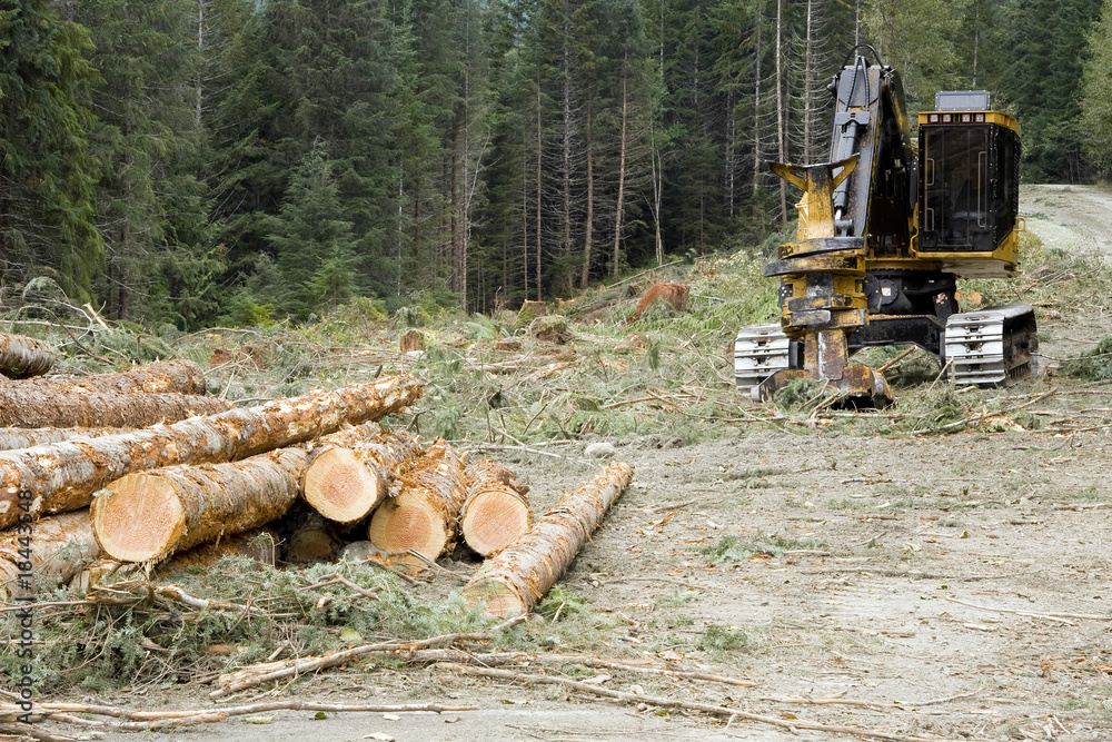 Collection of cut timber and excavator from logging operation Stock ...