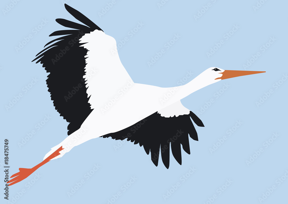 Fliegender Storch Stock-Vektorgrafik | Adobe Stock