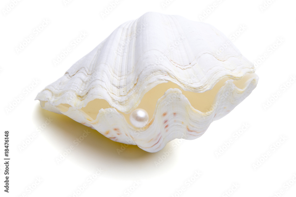 Muschel mit Perle Stock-Foto | Adobe Stock