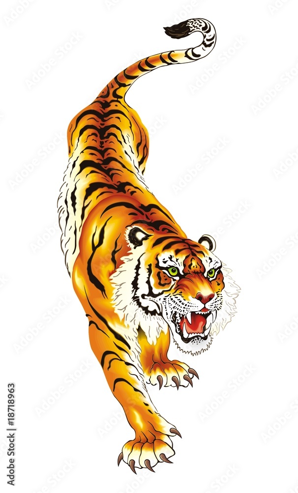 Tiger vector Stock Vector | Adobe Stock