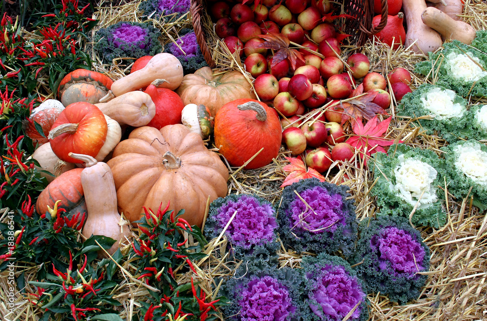 erntedank Stock-Foto | Adobe Stock