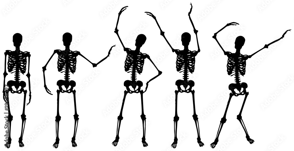 skeleton silhouette movements on white background Stock Vector | Adobe ...