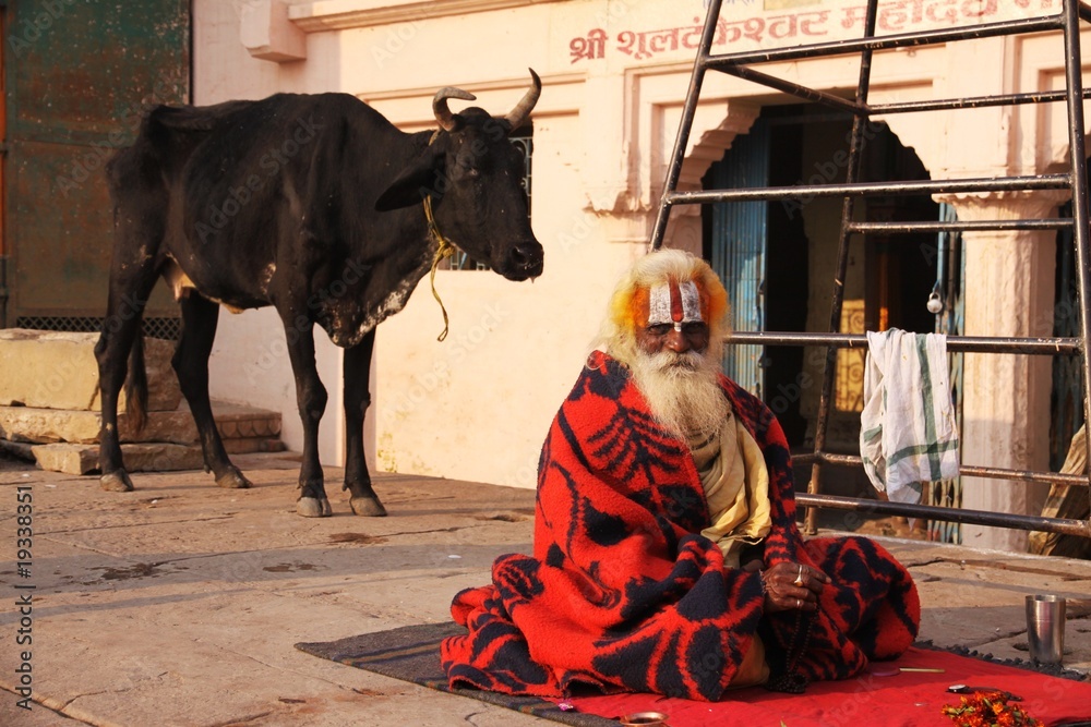 baba sadhu varanasi et sa vache sacrée Stock Photo | Adobe Stock