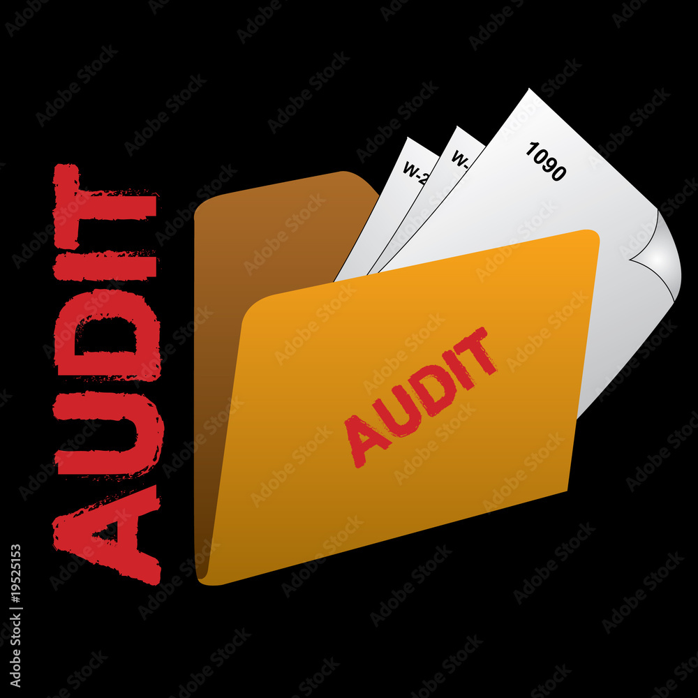 Audit Folder Icon Stock Vector | Adobe Stock