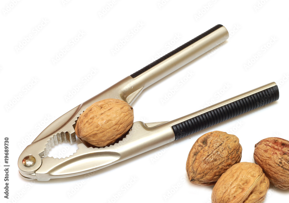 schiaccianoci con noci Stock Photo | Adobe Stock