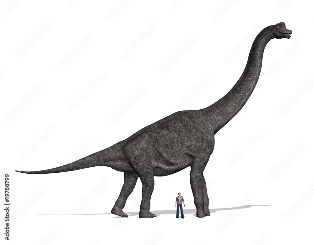 Brachiosaurus Size Compared to Man Stock Illustration | Adobe Stock