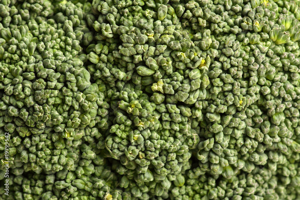 Brokkoli Stock Photo | Adobe Stock