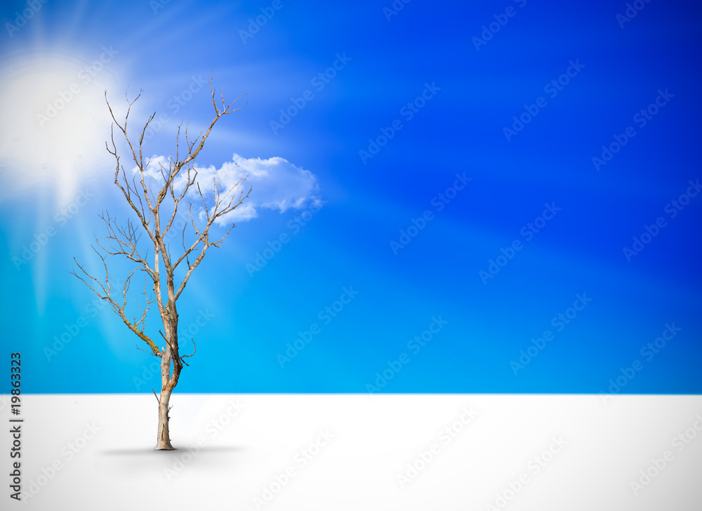 arbre desséché sous le soleil désert - grosse chaleur Stock ...