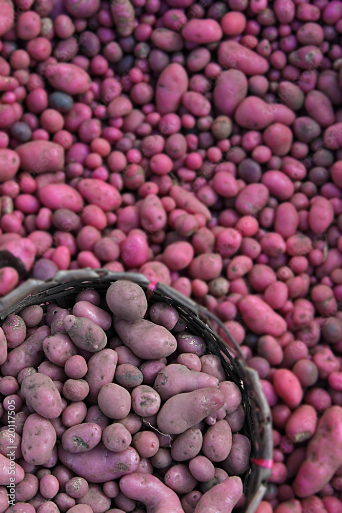 Cubios Rojos foto de Stock | Adobe Stock