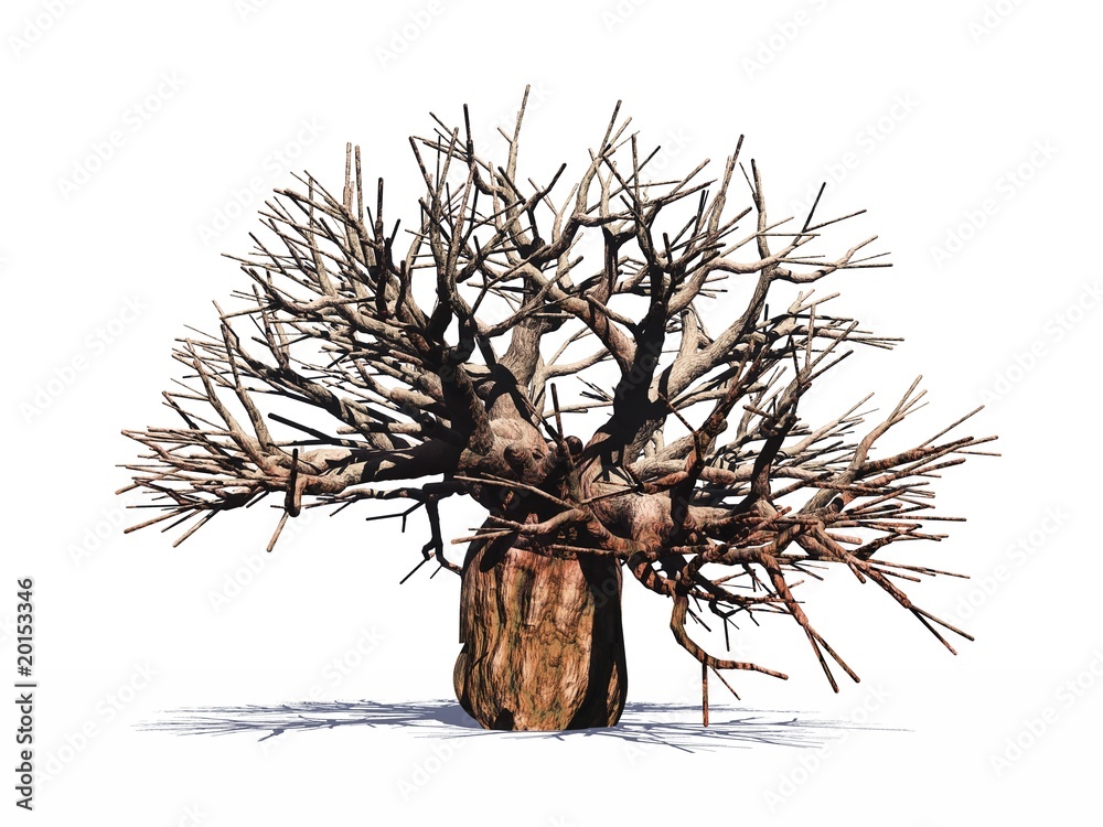 High resolution huge baobab tree isolated on white Stock Illustration ...